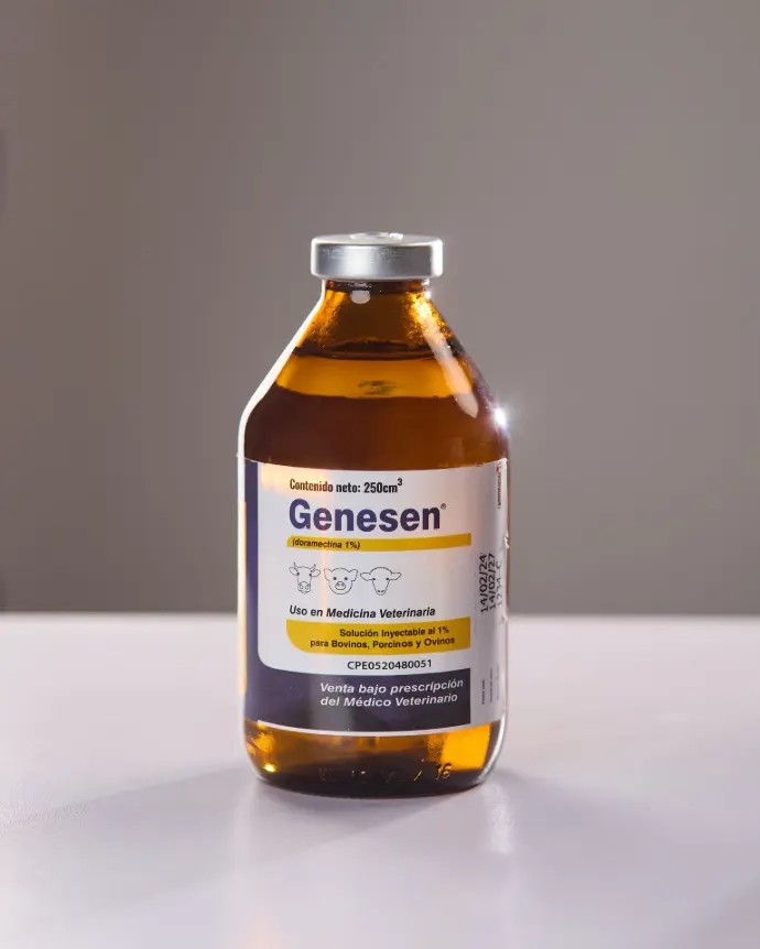 Genesen